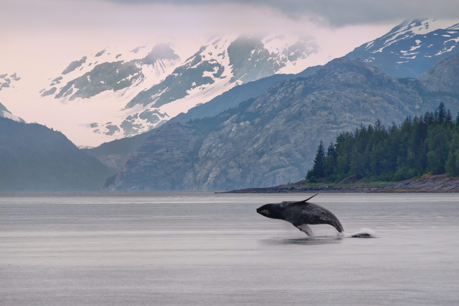 Alaska's Inside Passage Photo Tour | Guided Wildlife & Nature ...
